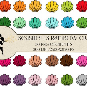 Seashell Clipart Set, Rainbow Seashells Clipart, Instant Download ...