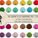 Seashell Clipart Set, Rainbow Seashells Clipart, Instant Download ...