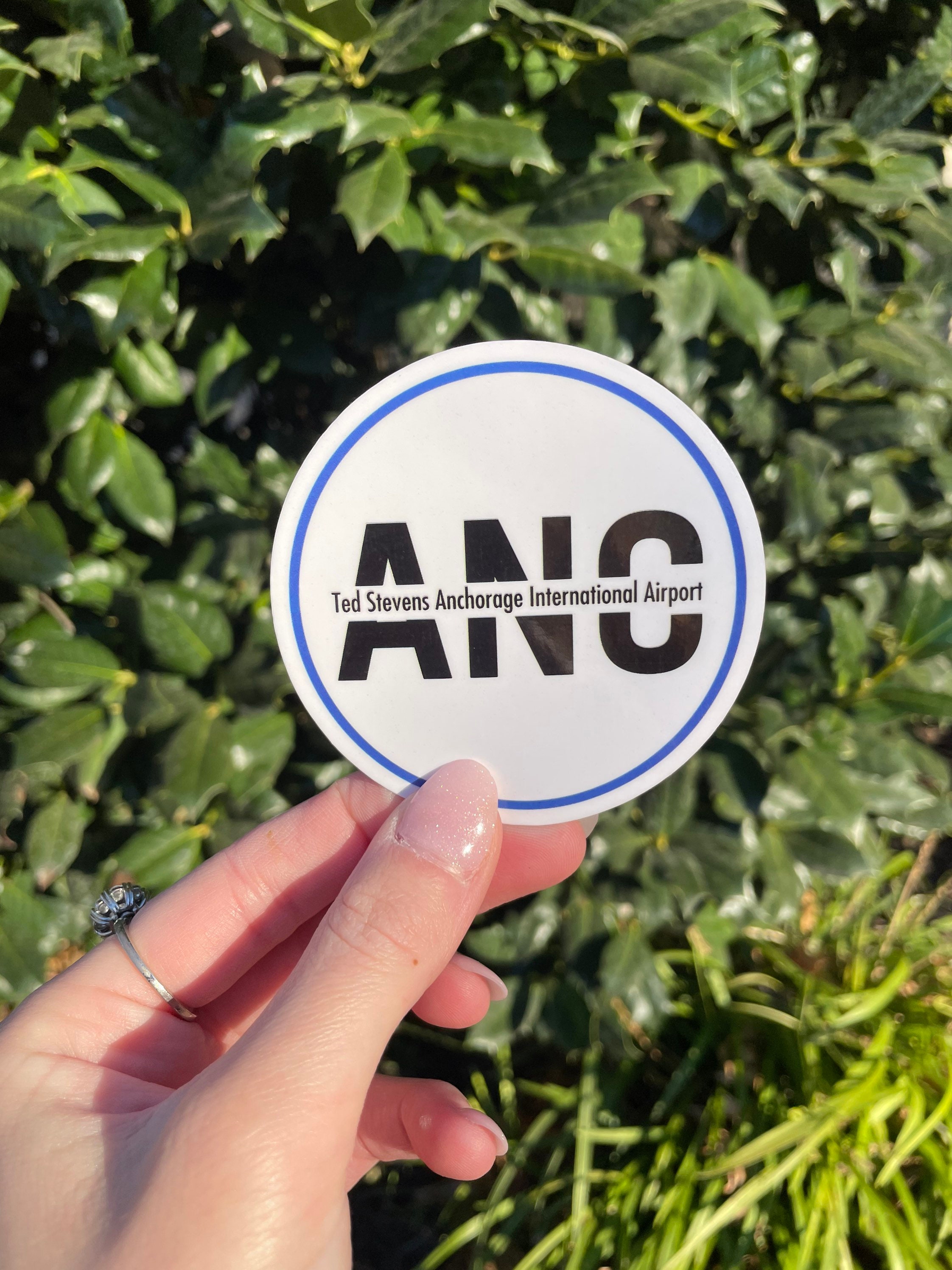 Decals & Skins Electronics & Accessories Laptops ANC Ted Stevens ...