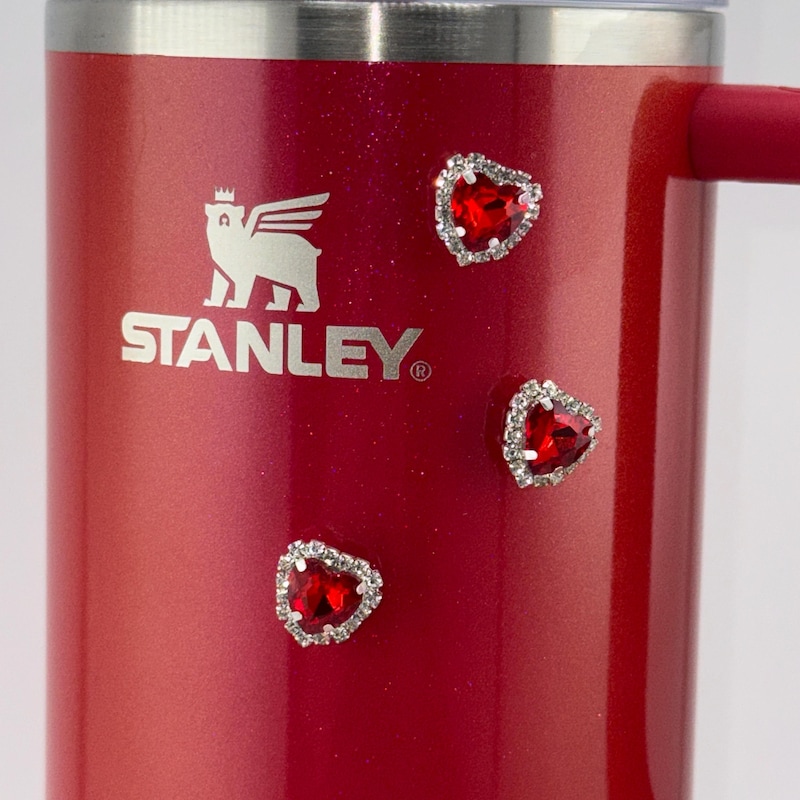 Stanley Cup Decorations - Etsy