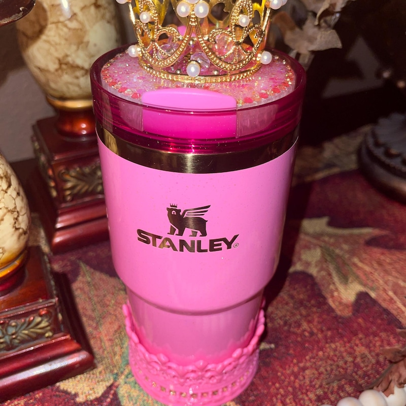 Wicked Movie Stanley Cup - Etsy