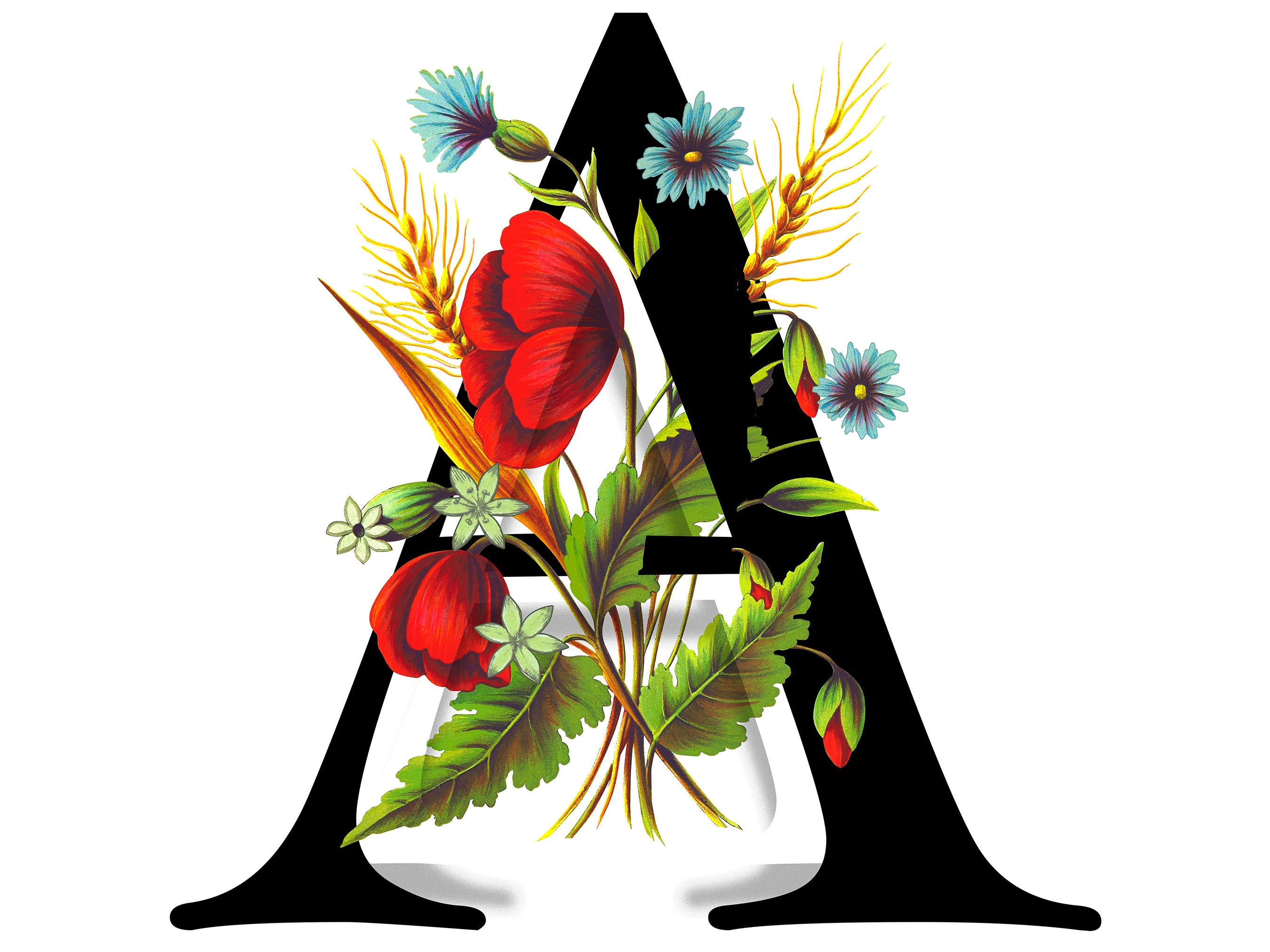 Floral Alphabet, Red and Blue Flower, Black Text Monogram, Instant ...