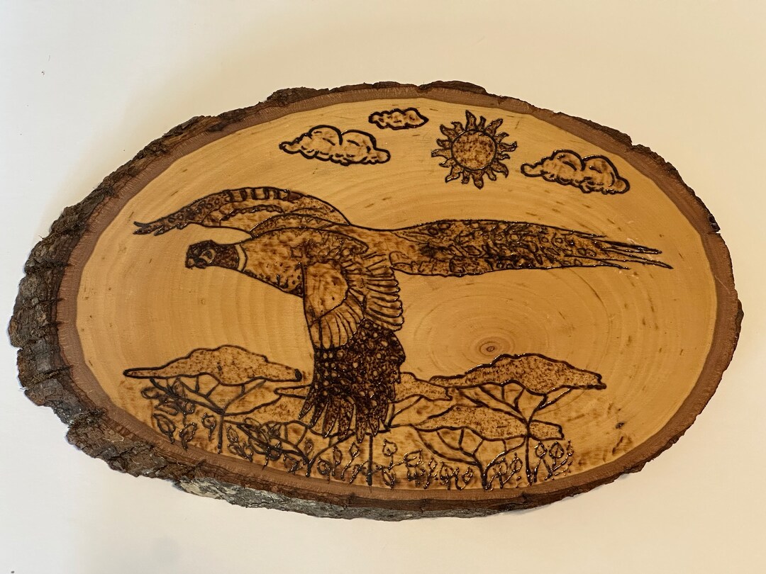 Wood Plaque Pheasant Hand Crafted Wood Burning - Etsy