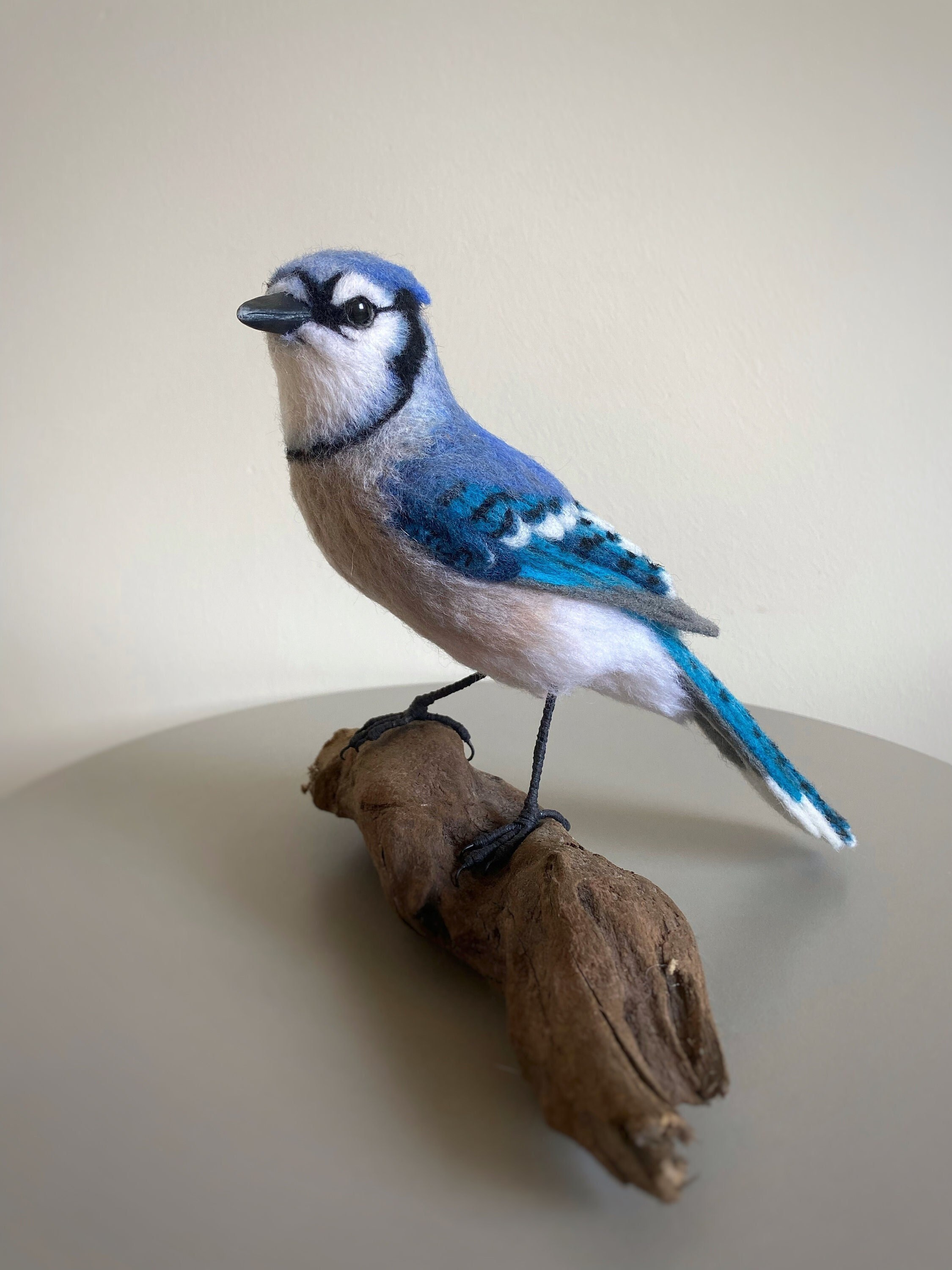 Webkinz Blue Jay