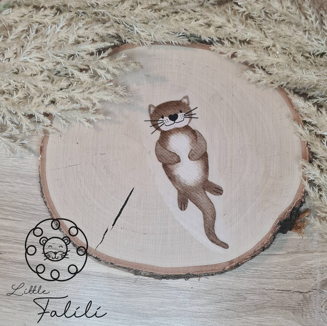 DTF Iron-on Image "otter" | DTF Iron-on Image | Iron-on Motif | Iron-on ...