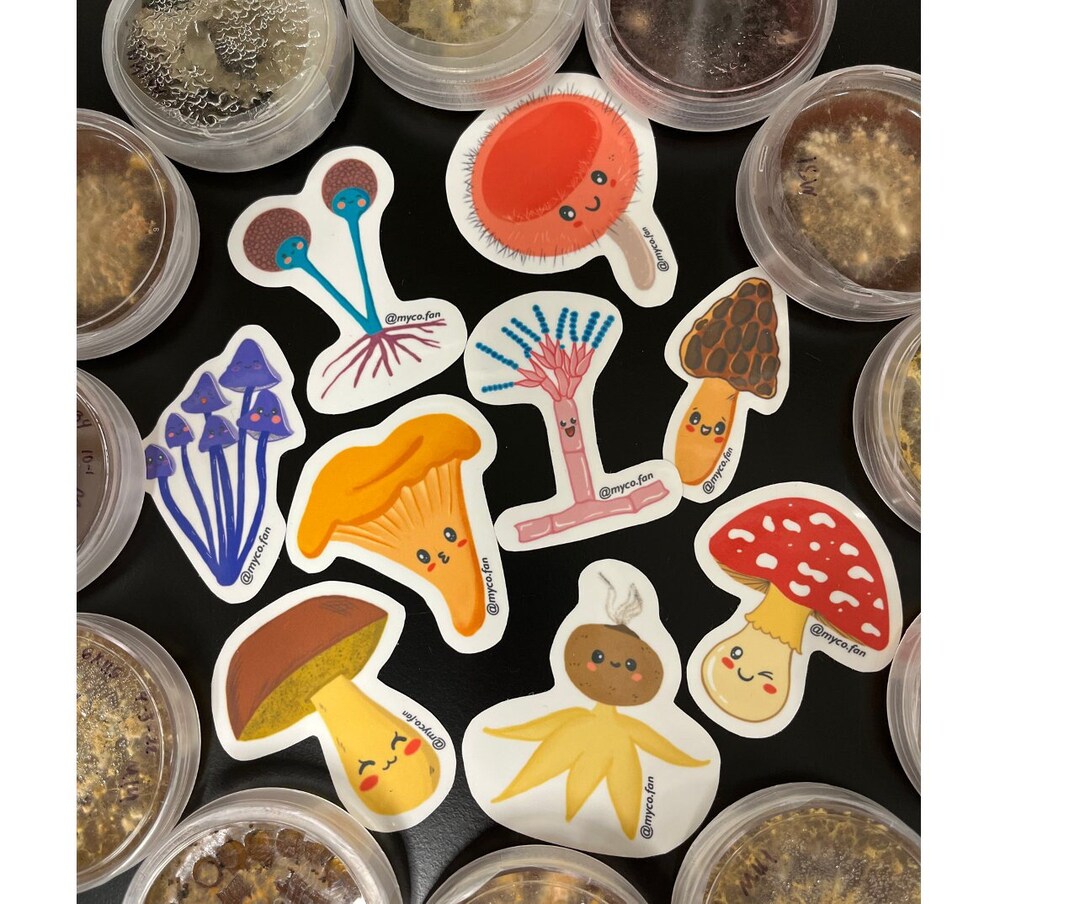 Fungi Kawaii Sticker Vinyl-laminated /water Resistant Mushroom/science ...