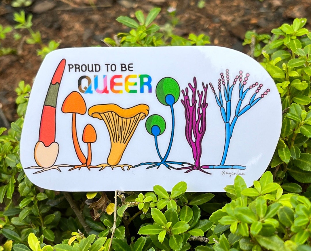 Pride Mushroom Vinyl Sticker | LGBTQIA | Water Resistant | Laminated - Etsy