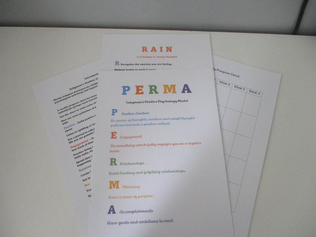 PERMA - Positive Psychology Model - Etsy