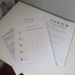 PERMA - Positive Psychology Model - Etsy