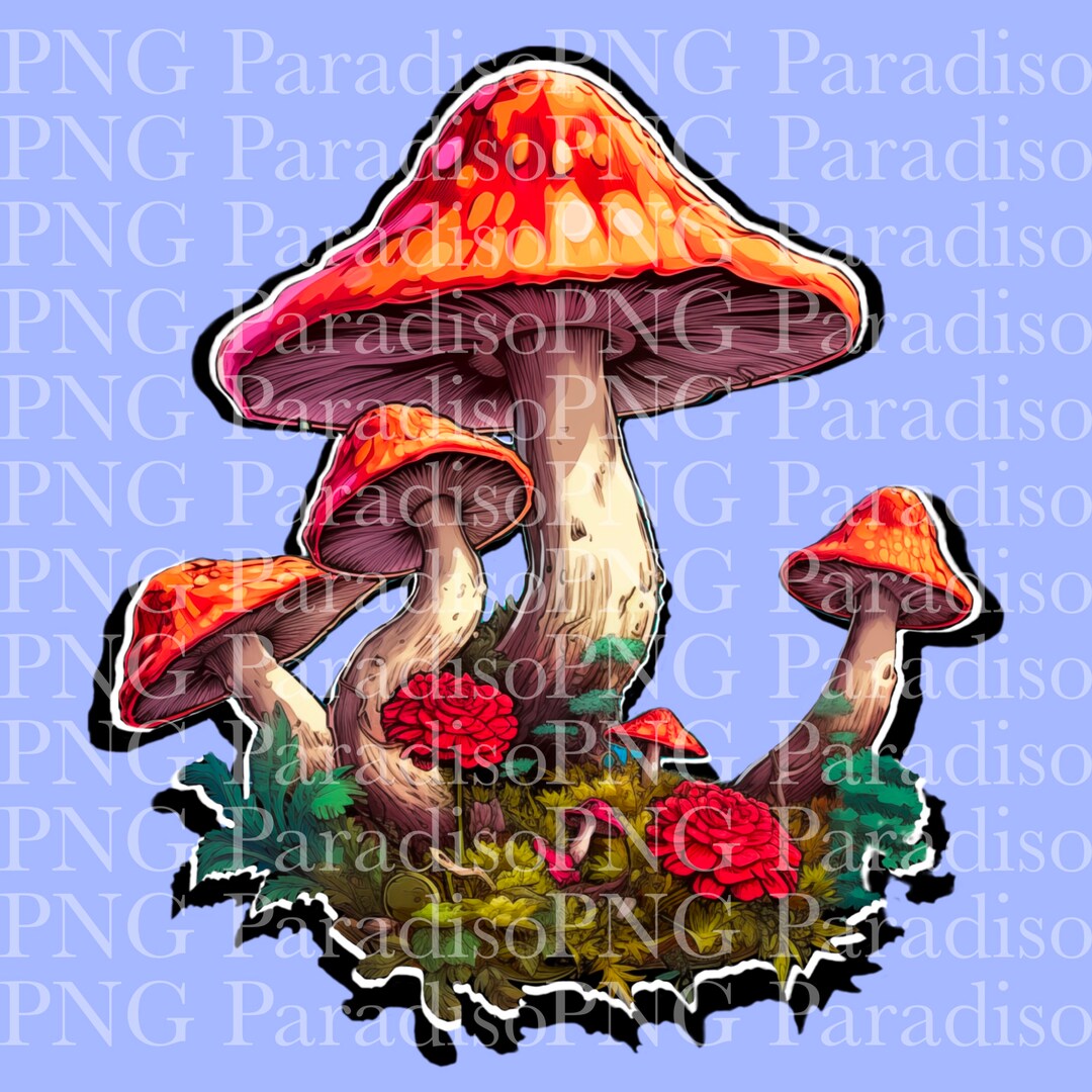 PSYCHEDELIC MAGIC MUSHROOMS Png, Trippy Png, Psychedelic Art, Shrooms ...