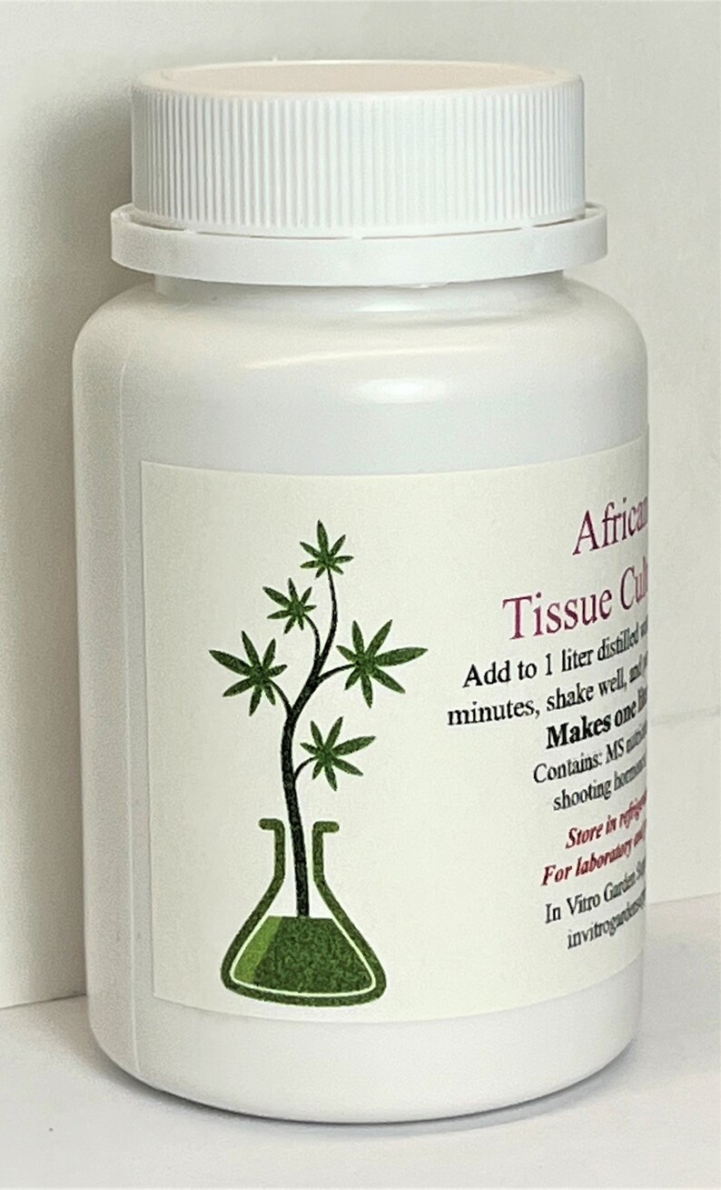 African Violet Tissue Culture Media Pre Mixed Ready to Use - Etsy African Violet Tissue Culture Media Pre Mixed Ready to Use - Etsy