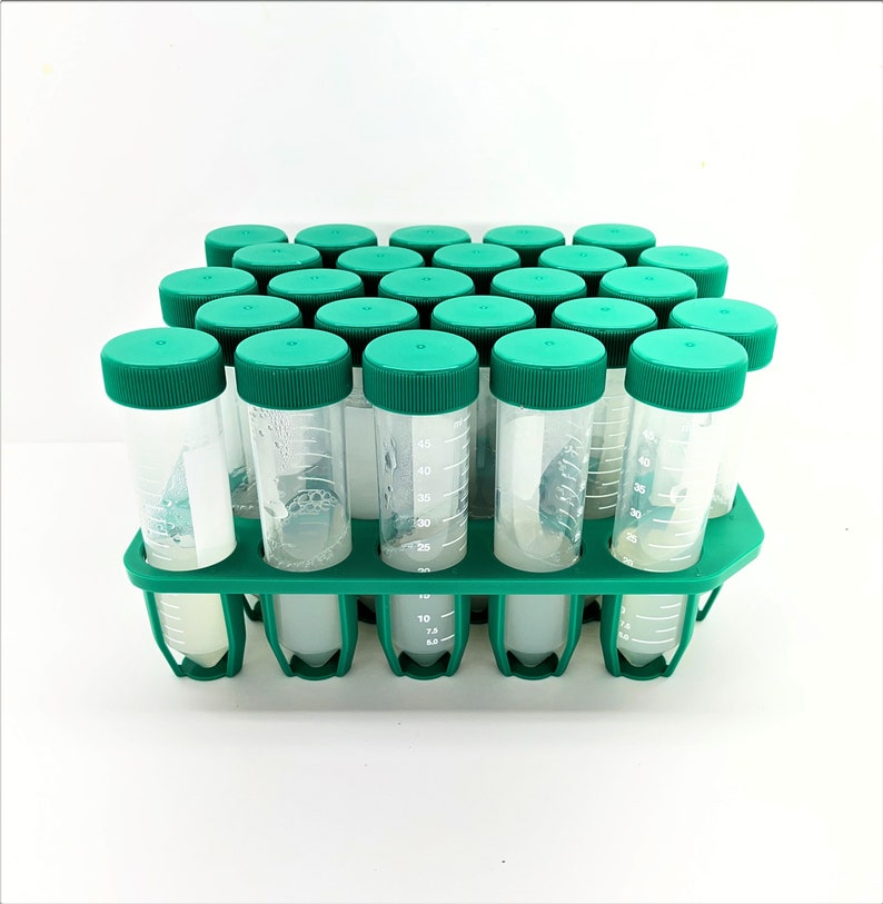 Plant Tissue Culture Media Ready to Use Test Tubes Pack of - Etsy