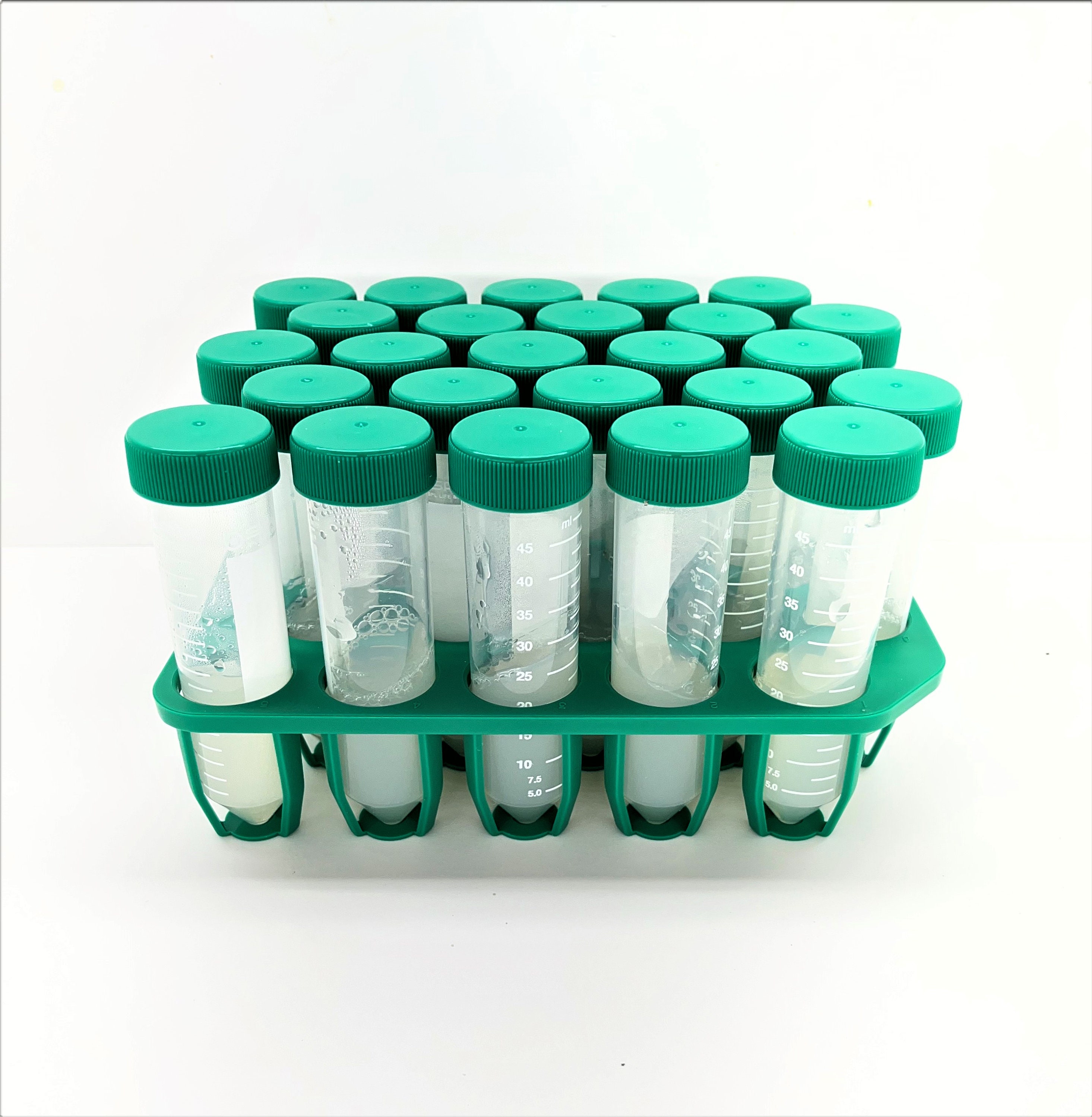 Plant Tissue Culture Media Ready to Use Test Tubes Pack of - Etsy