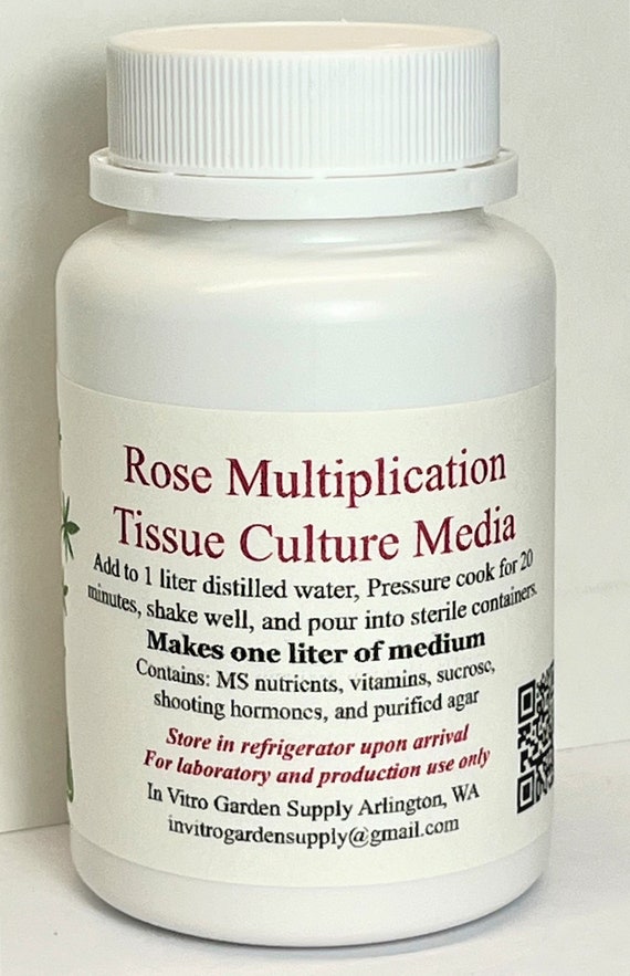 Rose Cloning Tissue Culture Media Pre Mixed Ready to Use | Etsy