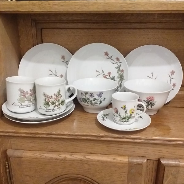 Winterling Porcelain - Etsy