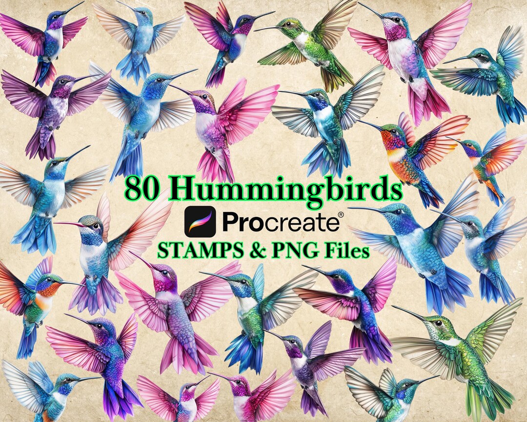 Procreate Animal Stamp Brushes Bundle, Hummingbirds, Tattoo Stencil Design, Colorful Hummingbird ...