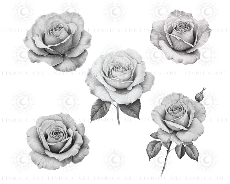 Clipart Rose BUNDLE PNG Images, DIY Graphics, Sublimation Designs ...