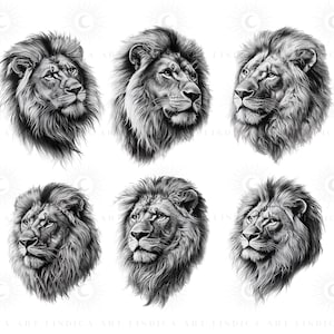 Procreate Lion Stamps, Realistic Lions, Realism Lion Tattoo Designs ...