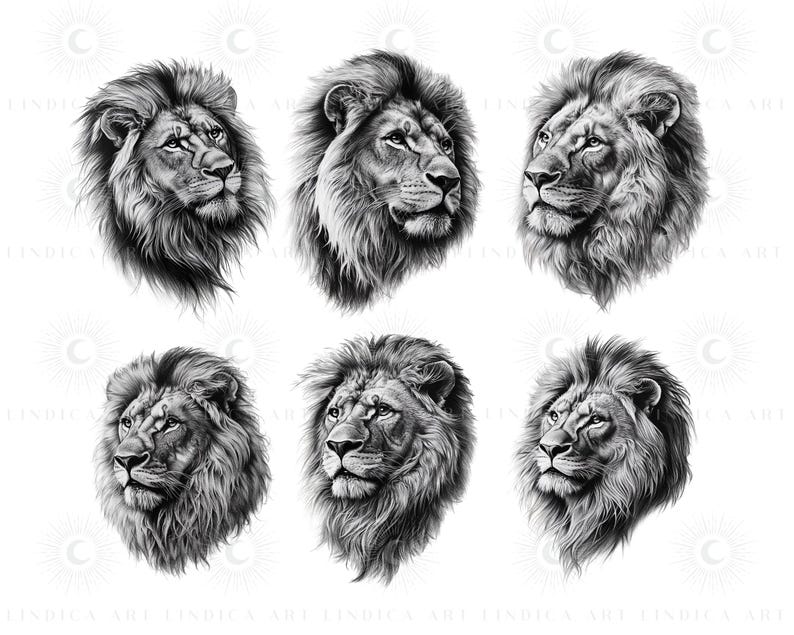 Procreate Lion Stamps, Realistic Lions, Realism Lion Tattoo Designs ...