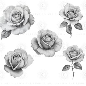 Clipart Rose BUNDLE PNG Images, DIY Graphics, Sublimation Designs ...