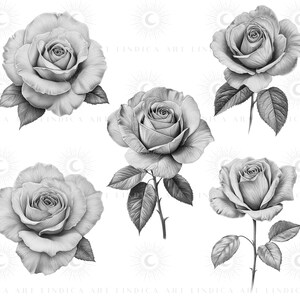 Clipart Rose BUNDLE PNG Images, DIY Graphics, Sublimation Designs ...