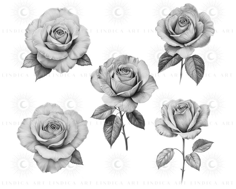 Clipart Rose BUNDLE PNG Images, DIY Graphics, Sublimation Designs ...