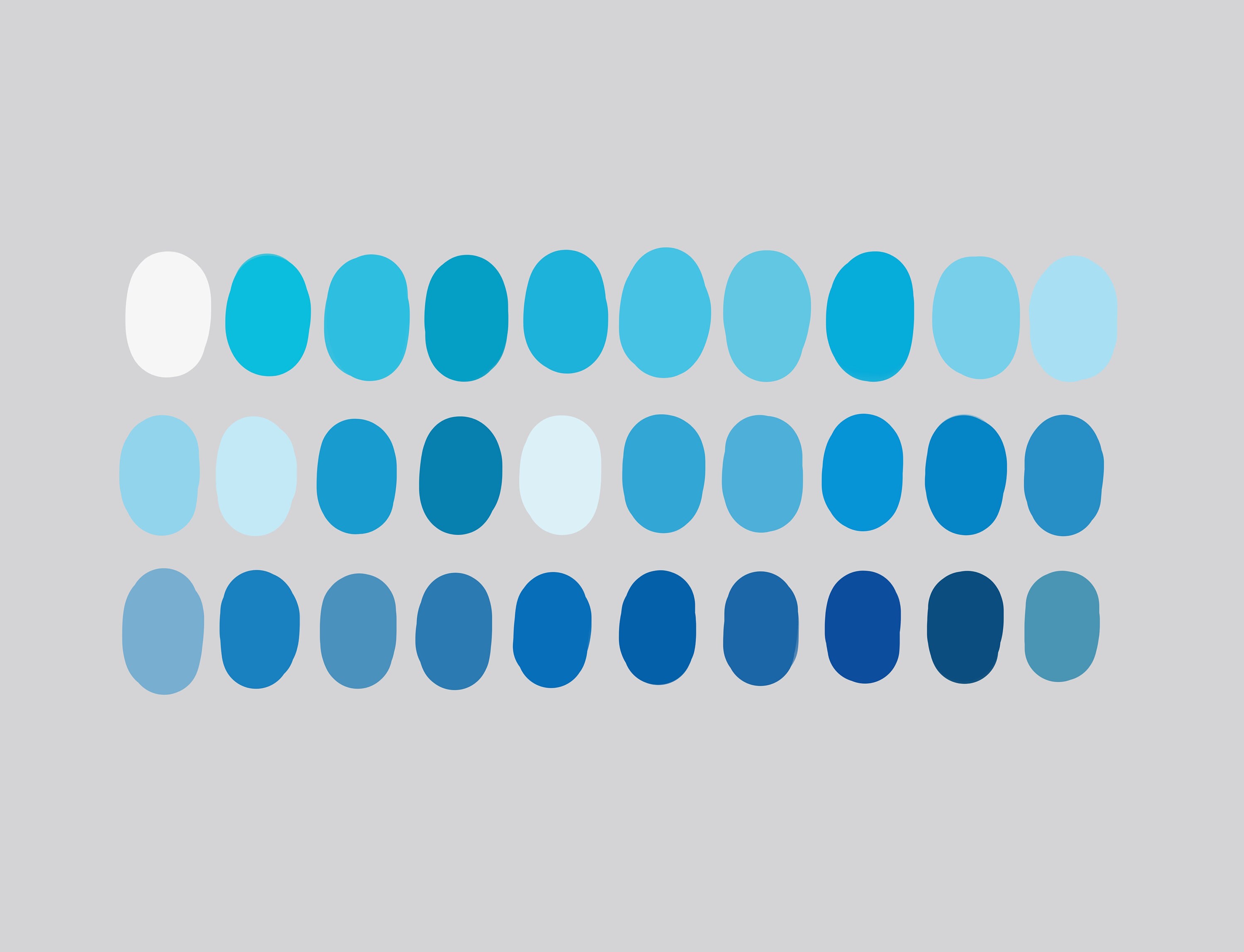 Procreate Color Palette, Procreate Swatches Winter Theme, Color Palette ...