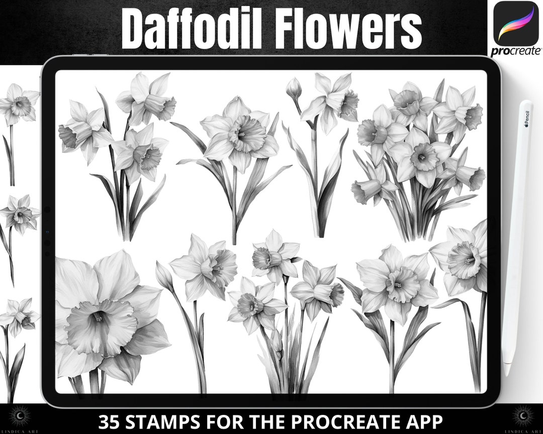 Procreate Daffodil Flower Stamps BUNDLE, Realistic Watercolor Style ...