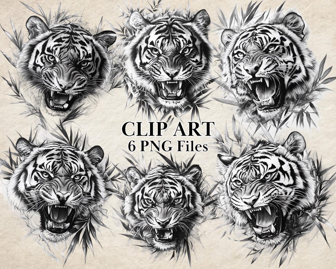 Clipart Tiger BUNDLE PNG Images, Realistic Wild Animal Clip Art DIY ...