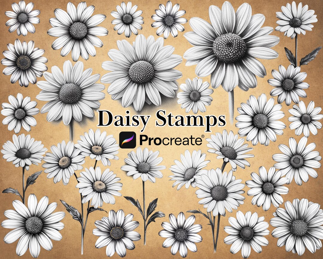 Procreate Daisy Stamp Bushes BUNDLE, Realistic Daisies, Floral Tattoo ...