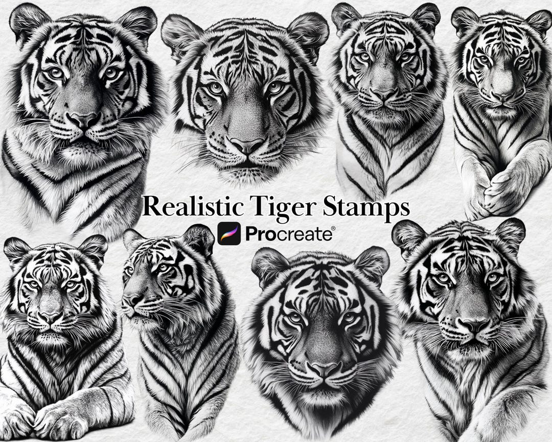 Procreate Tiger Stamps, Realistic Tigers, Realism Tiger Tattoo Designs ...