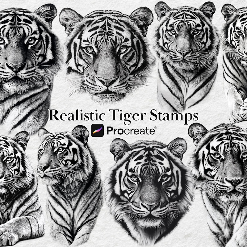 Realistic Anime Designs - Etsy