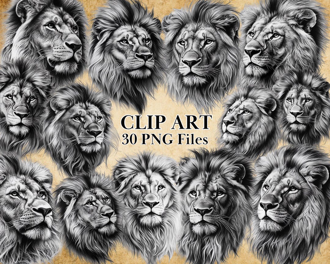 Clipart Lion BUNDLE PNG Images, Realistic Wild Animal Clip Art DIY ...