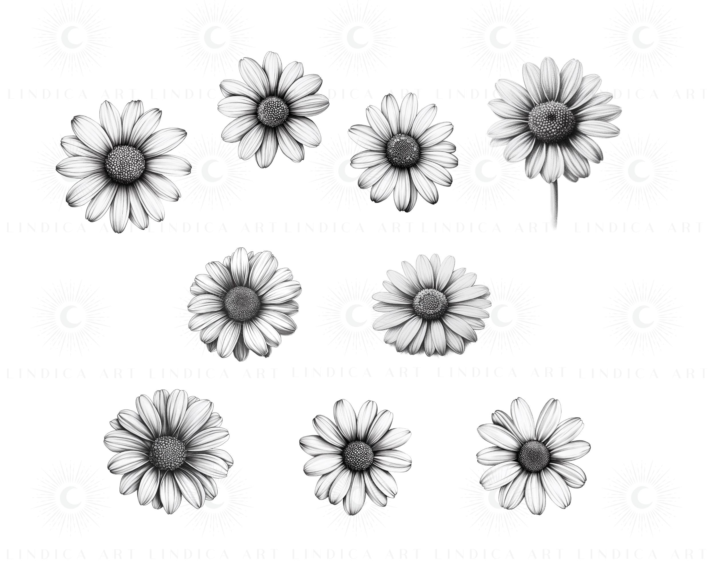 Procreate Daisy Stamp Bushes BUNDLE, Realistic Daisies, Floral Tattoo ...