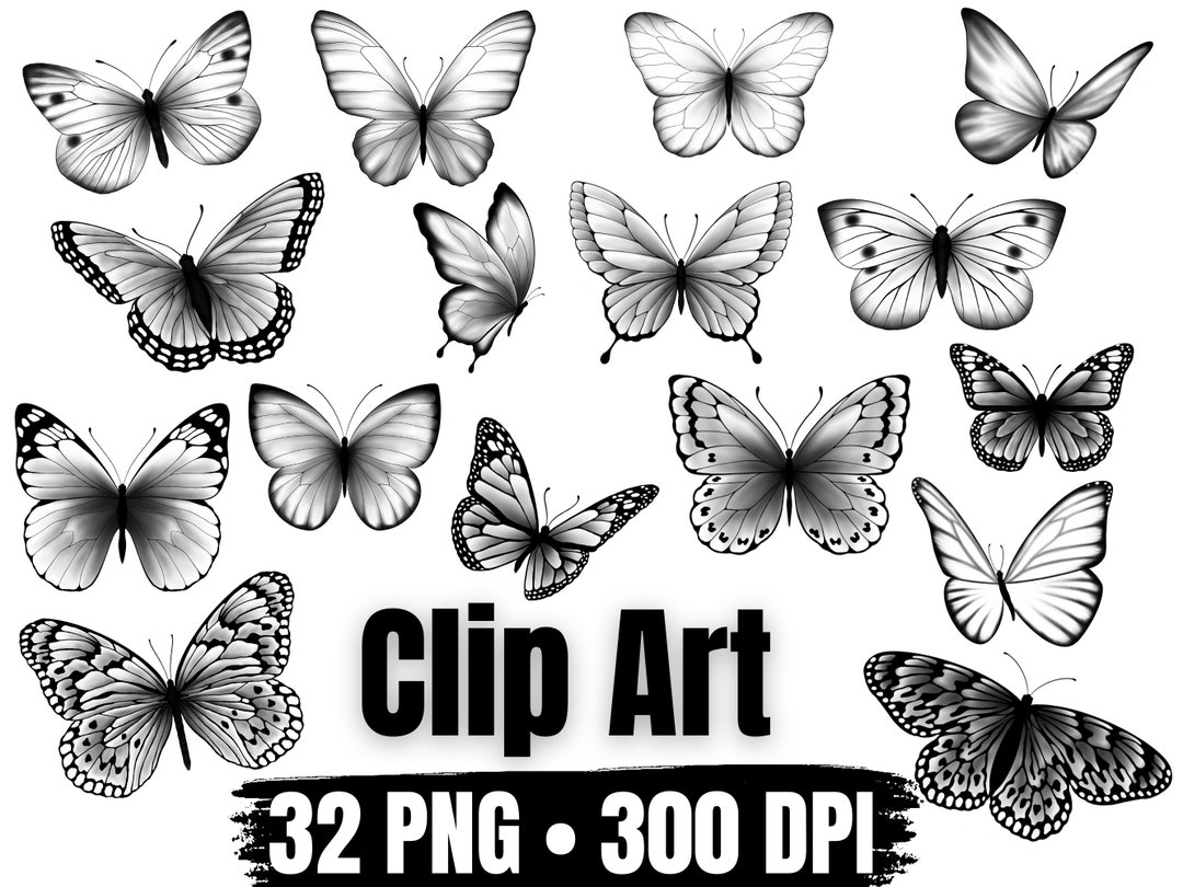 Butterfly Clip Art Images, 32 PNG Files, Clip Art Butterflies - Etsy