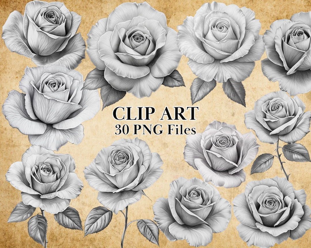 Clipart Rose BUNDLE PNG Images, DIY Graphics, Sublimation Designs ...