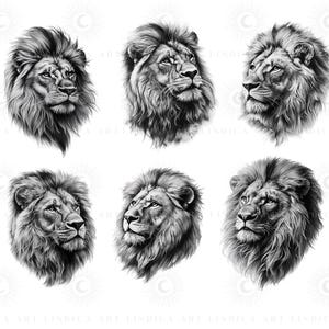 Procreate Lion Stamps, Realistic Lions, Realism Lion Tattoo Designs ...