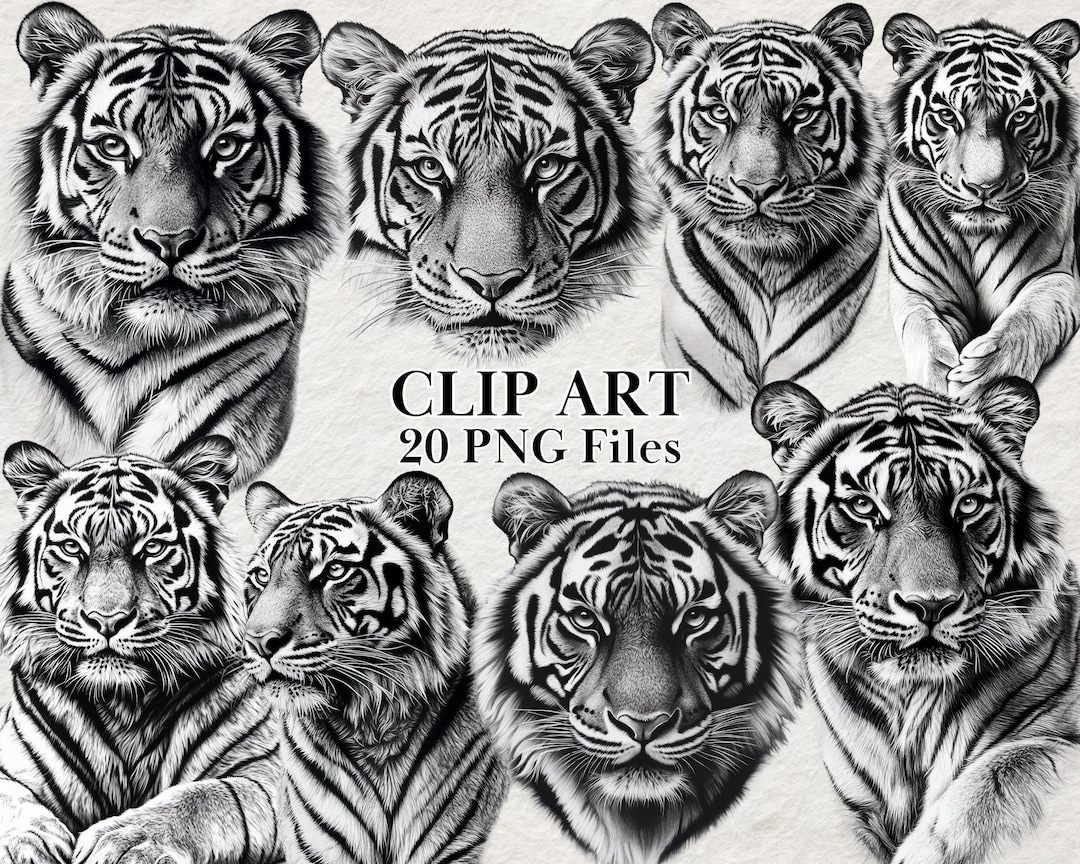 Clipart Tiger BUNDLE PNG Images, Realistic Wild Animal Clip Art DIY ...