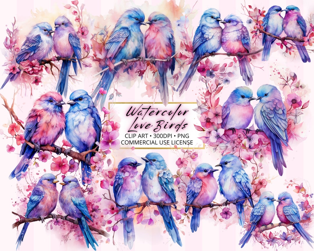 Clipart Love Birds Pink Valentine, 25 PNG Files, Pastel Watercolor Art ...