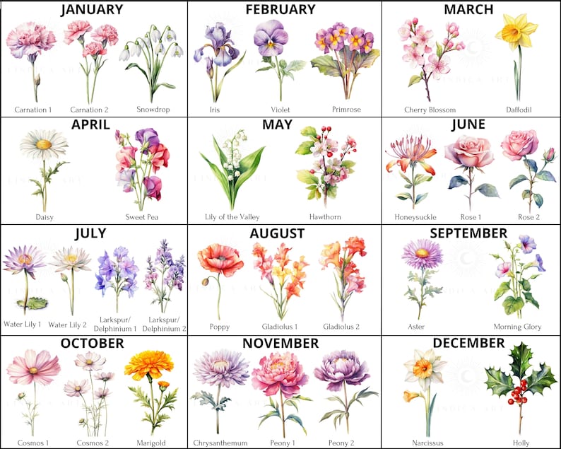 Birth Month Flowers Editable Template, Mother's Day Gift, Custom Family ...