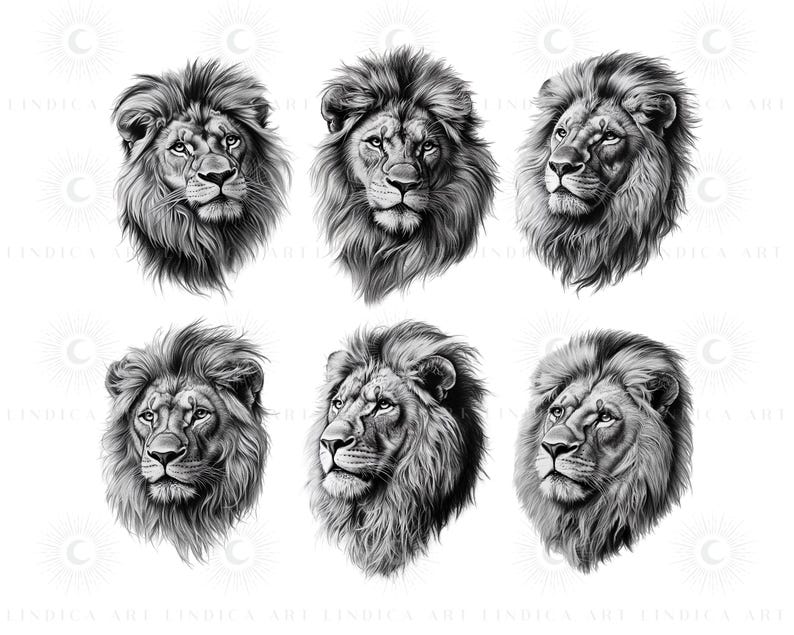 Procreate Lion Stamps, Realistic Lions, Realism Lion Tattoo Designs ...