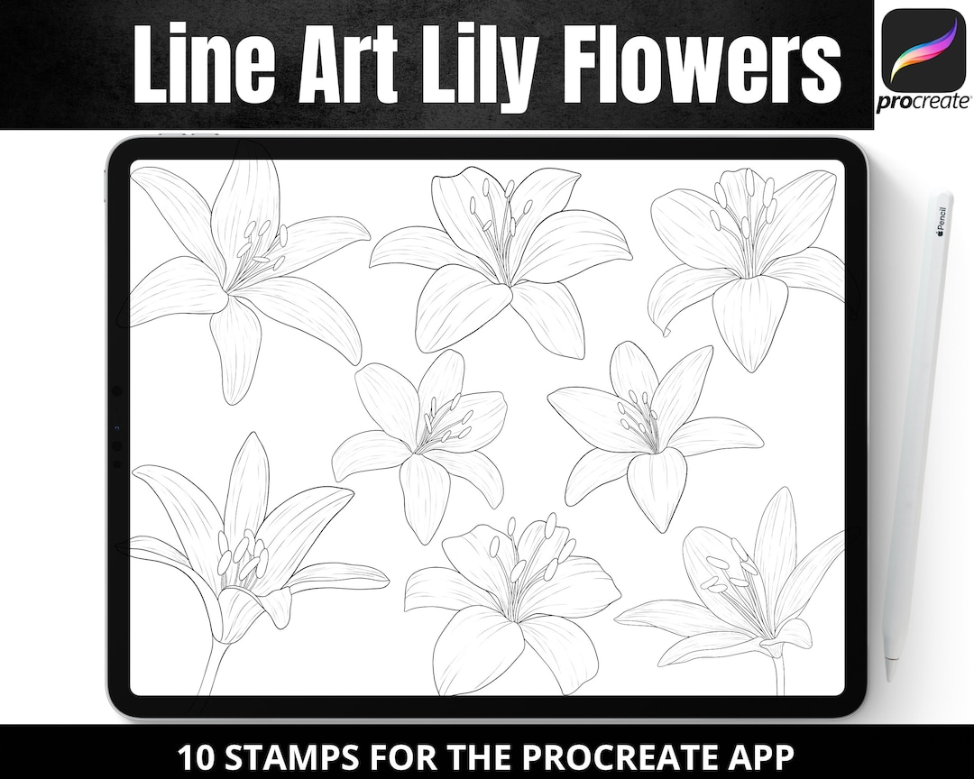 Procreate Lily Flowers Stamp Brushes Bundle, 10 Fine Line Art Lilies ...