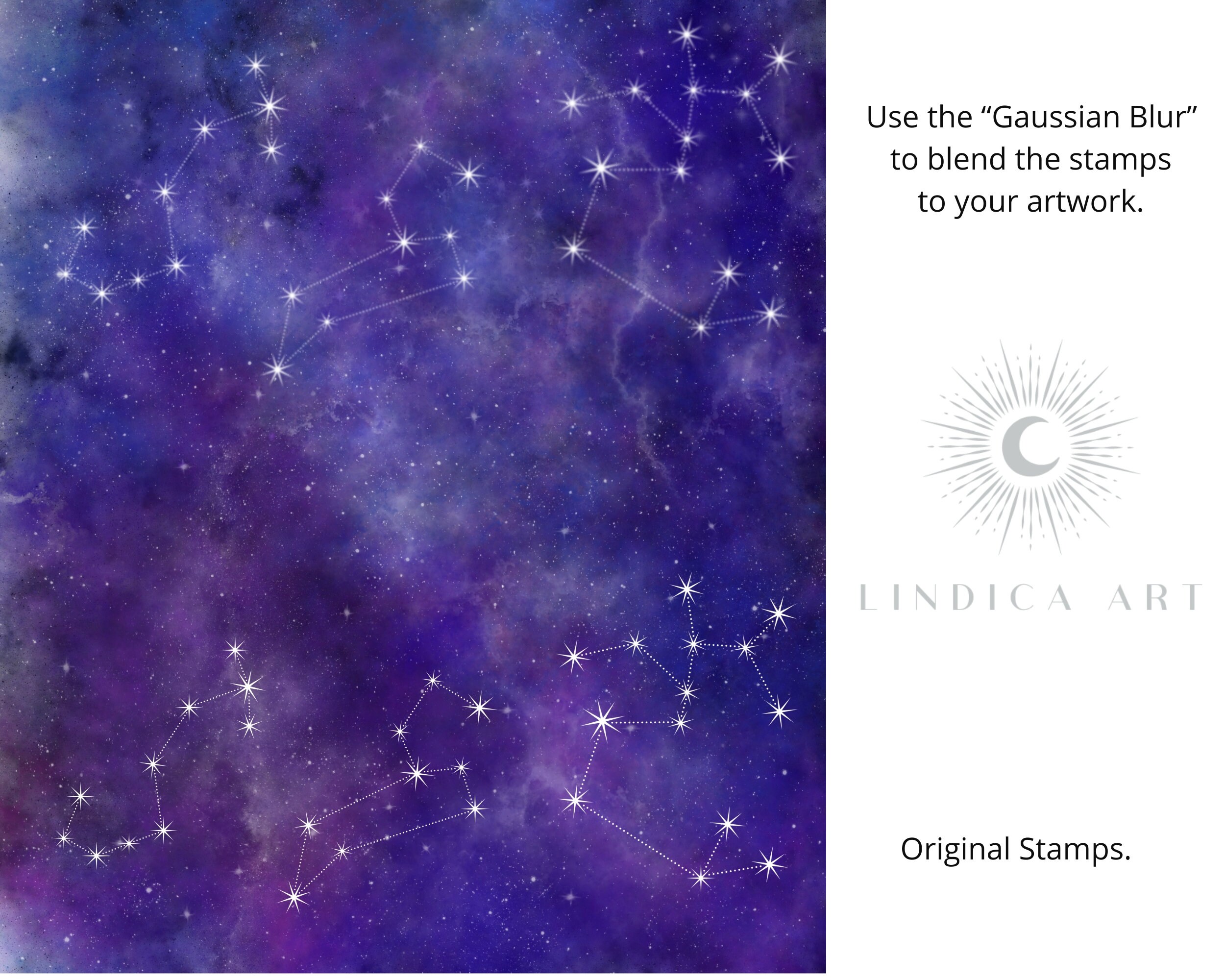 Procreate Zodiac Signs & Star Constellations, Procreate Stamp Brush, Tattoo Stencil Design ...