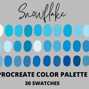Procreate Color Palette, Procreate Swatches Winter Theme, Color Palette ...