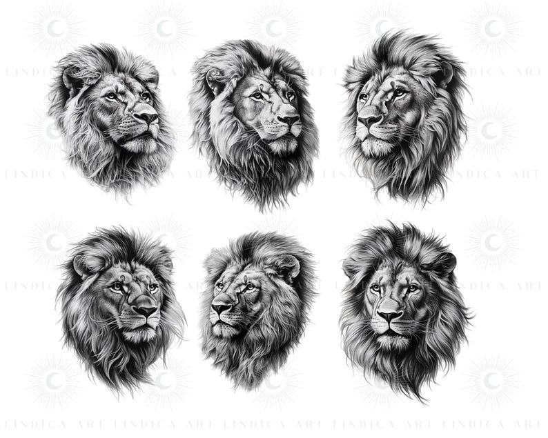 Clipart Lion BUNDLE PNG Images, Realistic Wild Animal Clip Art DIY ...