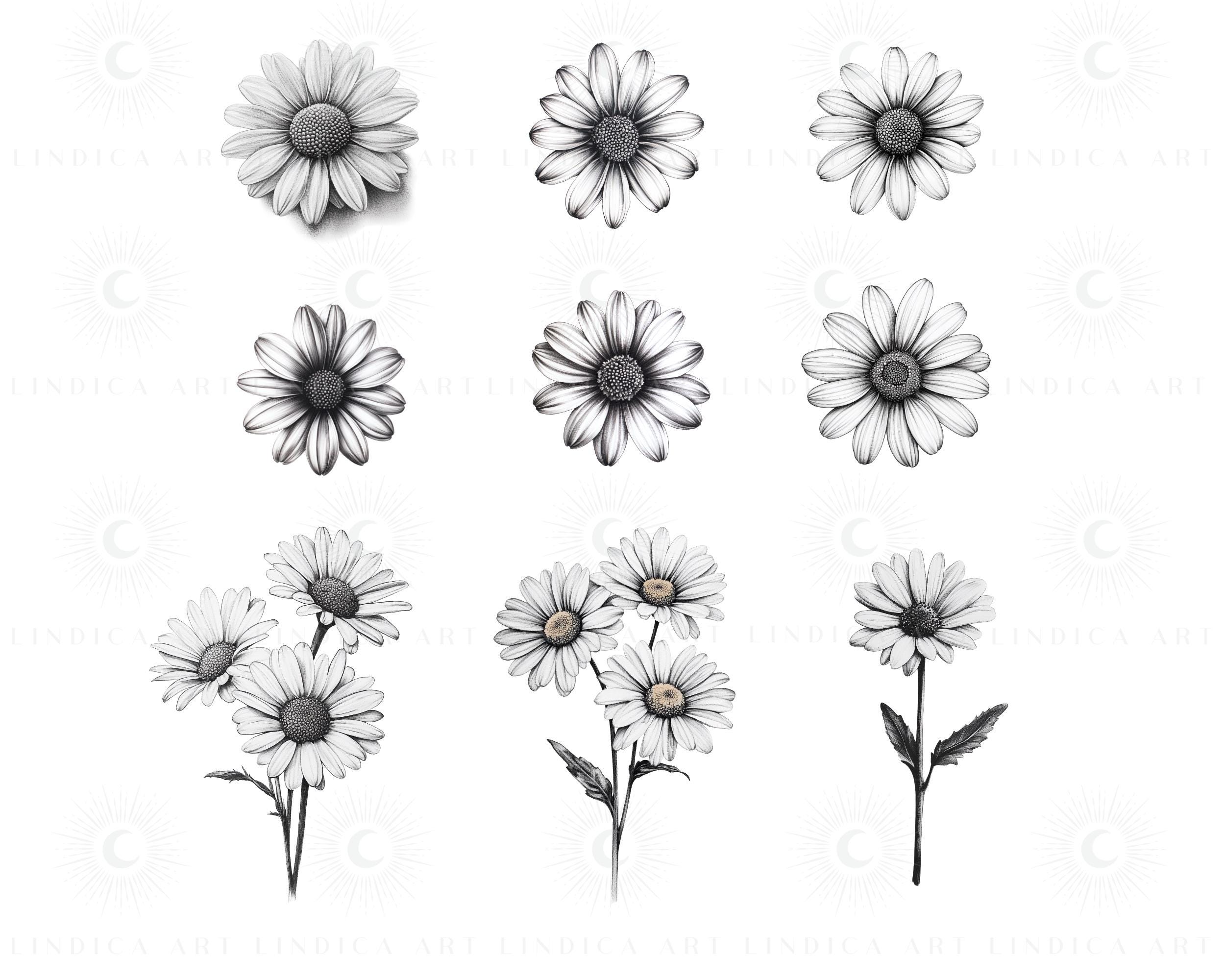 Procreate Daisy Stamp Bushes BUNDLE, Realistic Daisies, Floral Tattoo ...