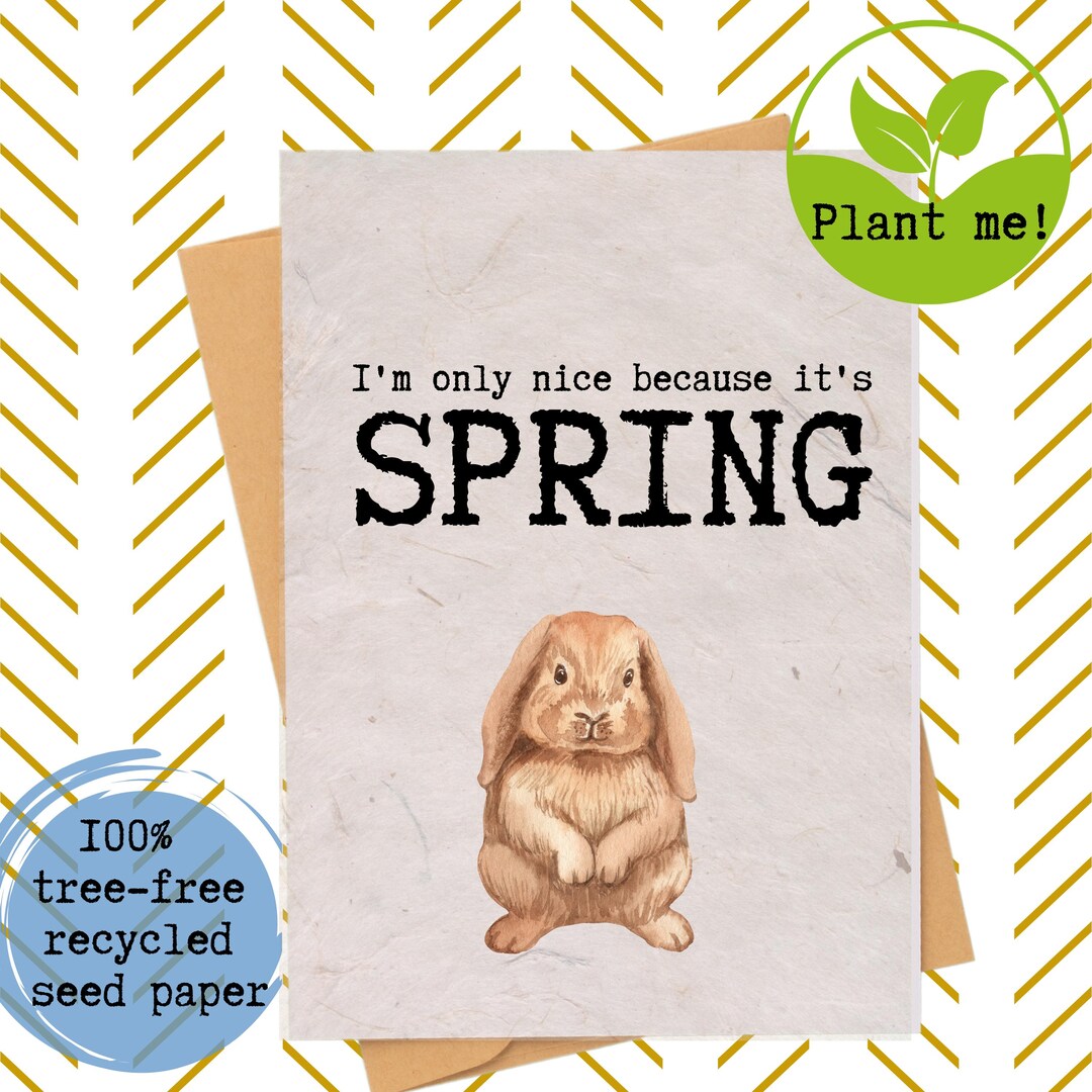 Snarky Spring Greeting Card| Funny Grumpy Rabbit Card| Rabbit Lover ...