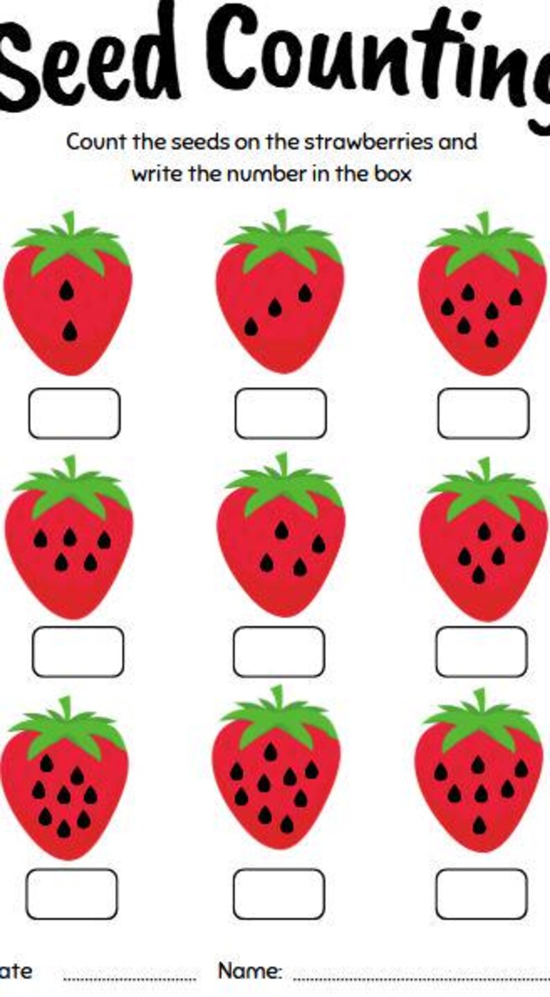Seed Counting - Kinder Level - Etsy