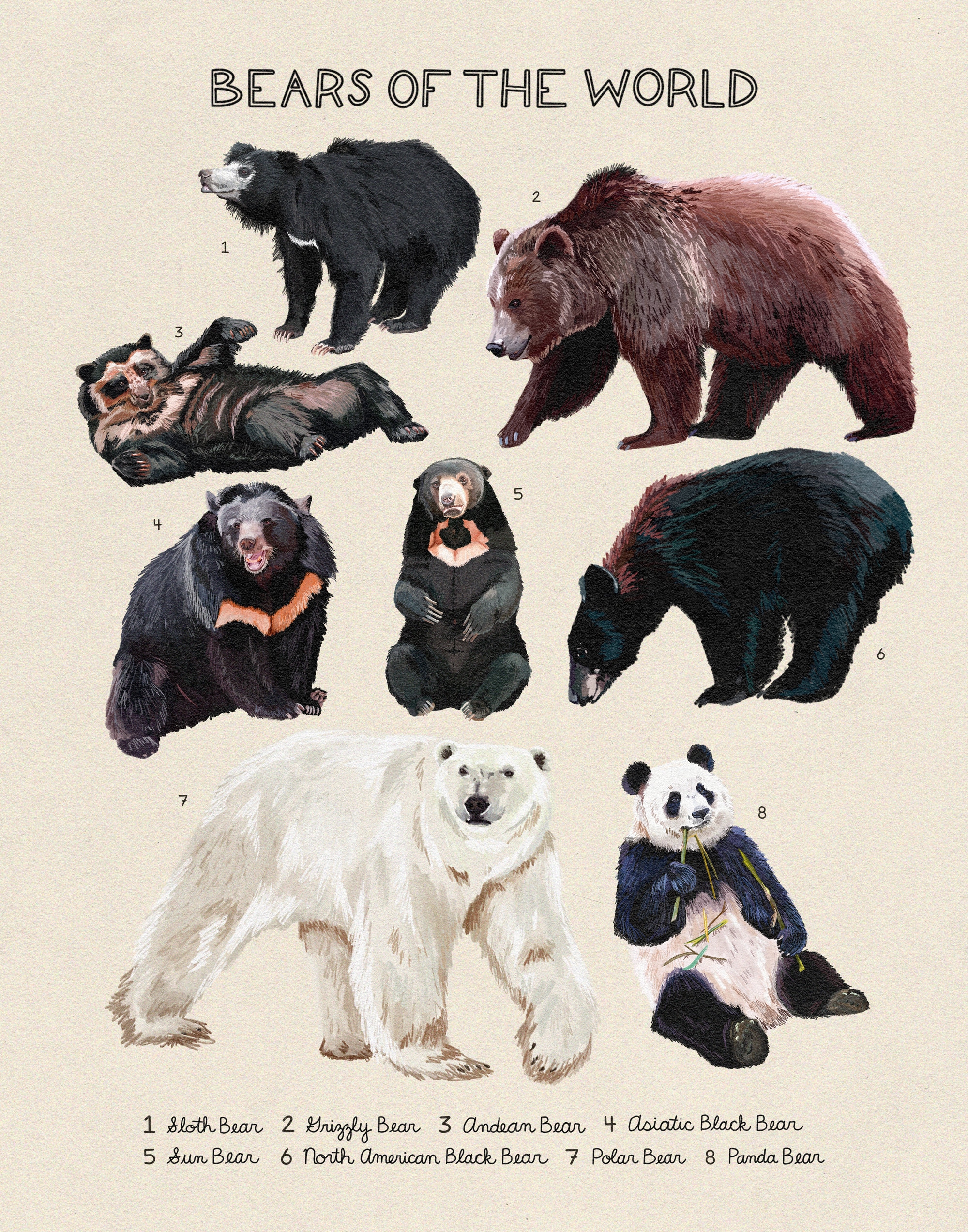 Bears of the World 11x14 - DIGITAL DOWNLOAD - Etsy