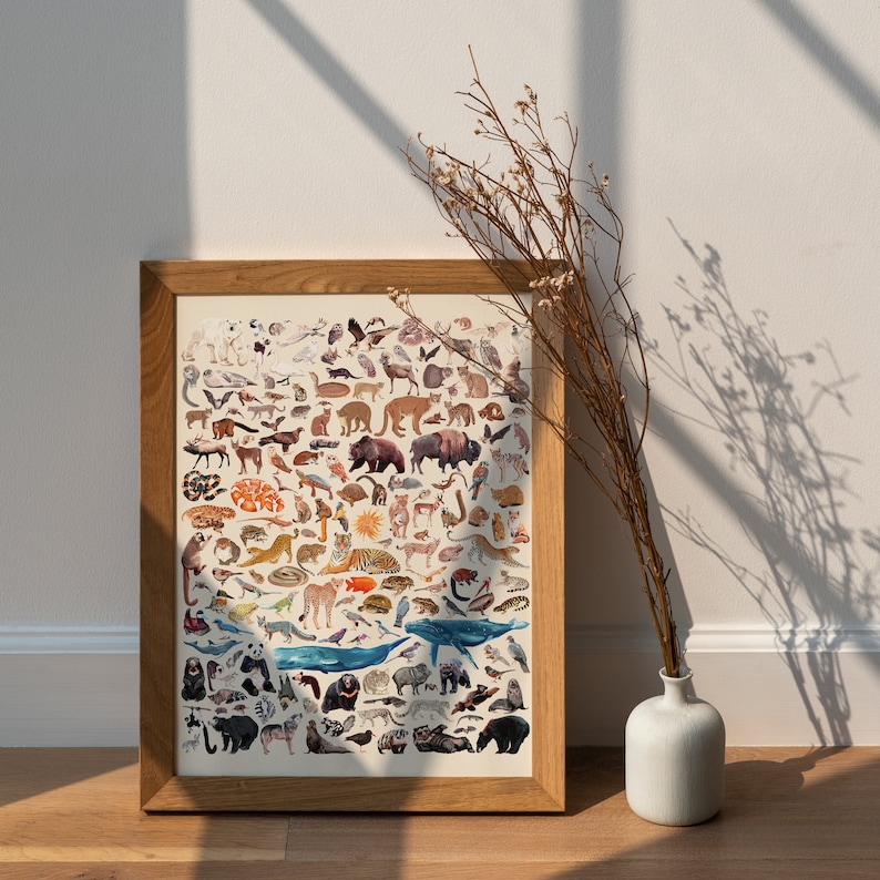 Rainbow of Animals - 8x10 - Etsy